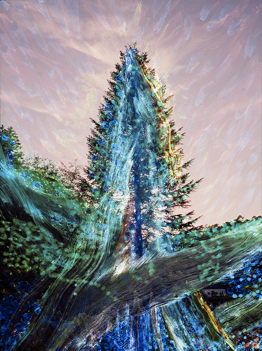 The Rising Tree : Mathilde Jansen